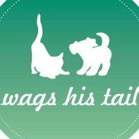 FORL = (Feline odontoklastisch-resorptive Läsion) – Wags His Tail